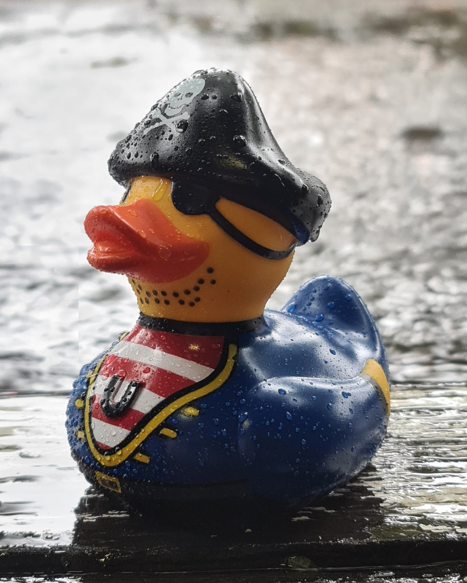 Rubber Duck Toy – Pirate Bath Toy Kids Novelty Duck | Indigo Rose